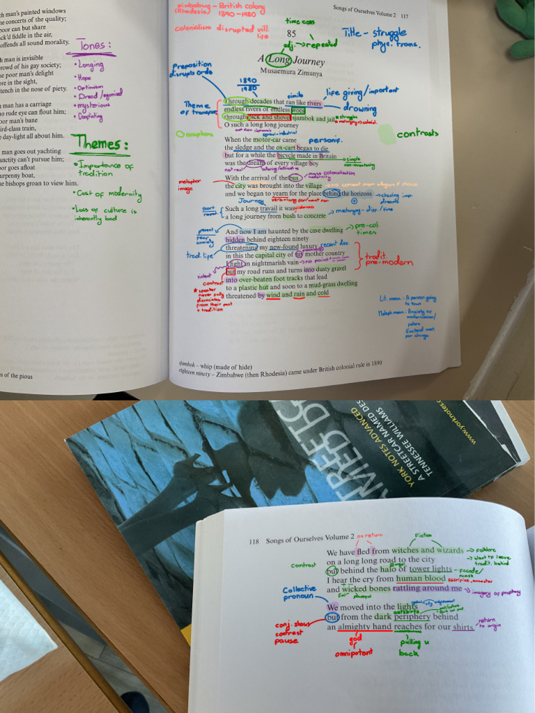 Analysis of “A long journey” | PDF