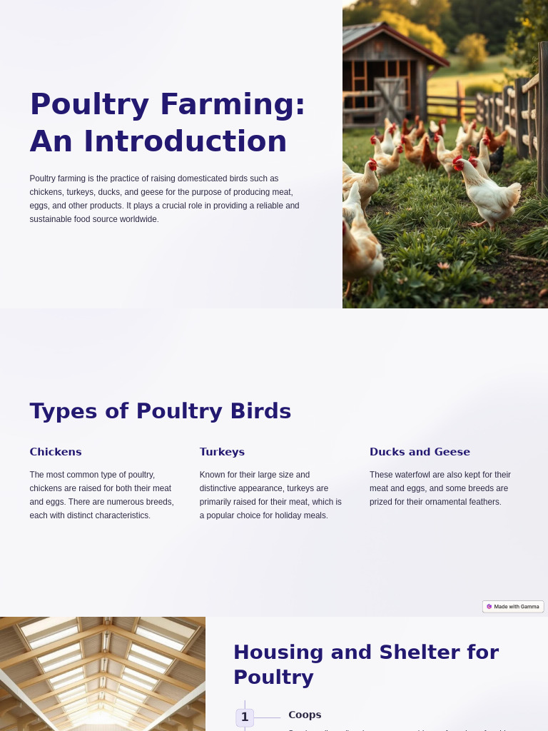 Introduction to Poultry Farming Basics | PDF | Poultry | Poultry Farming
