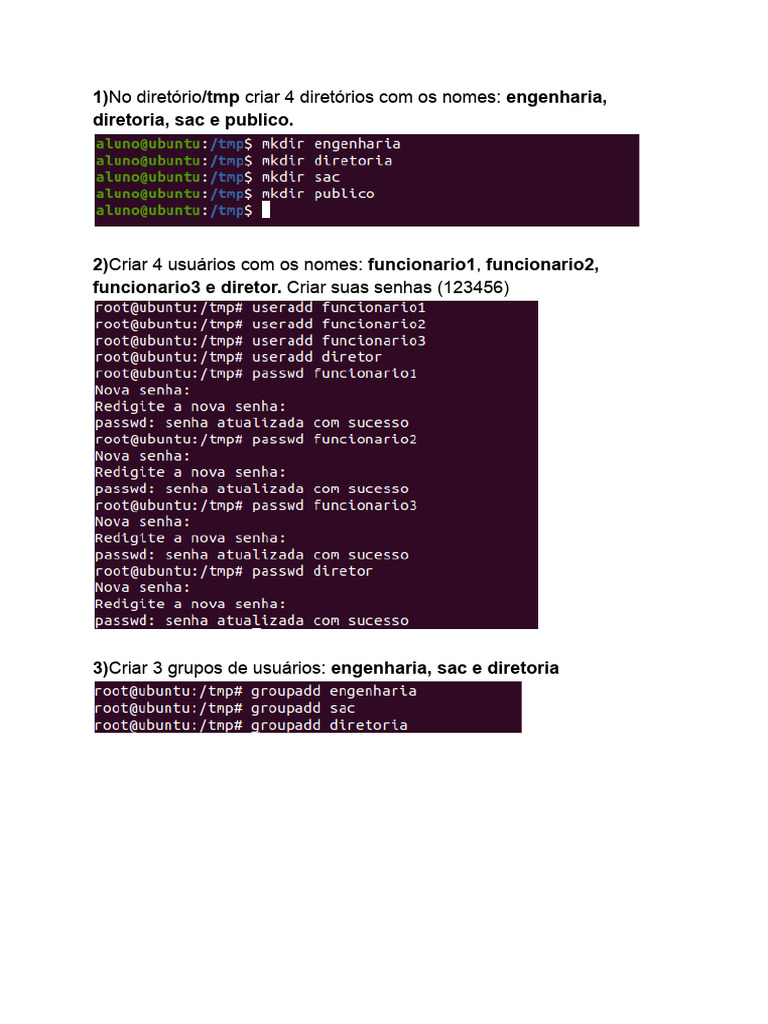 Atividade Linux Pontuando (Permissões) | PDF | Software de sistema | Programas