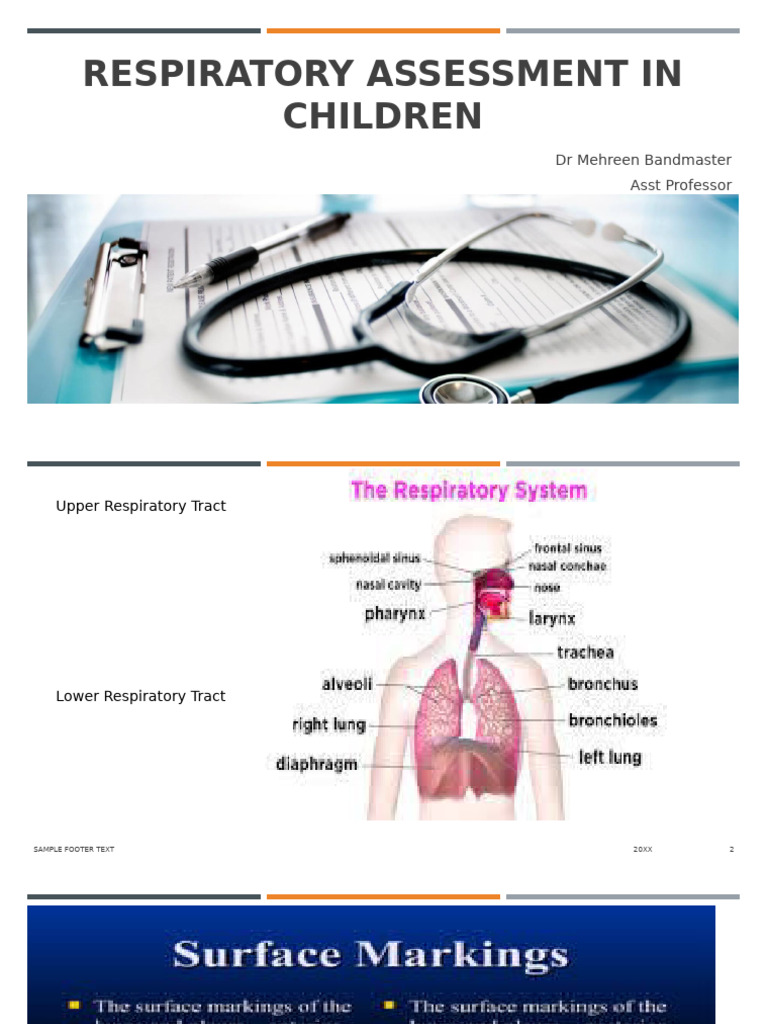 Pediatric Chest Examination Guide | PDF | Thorax | Breathing