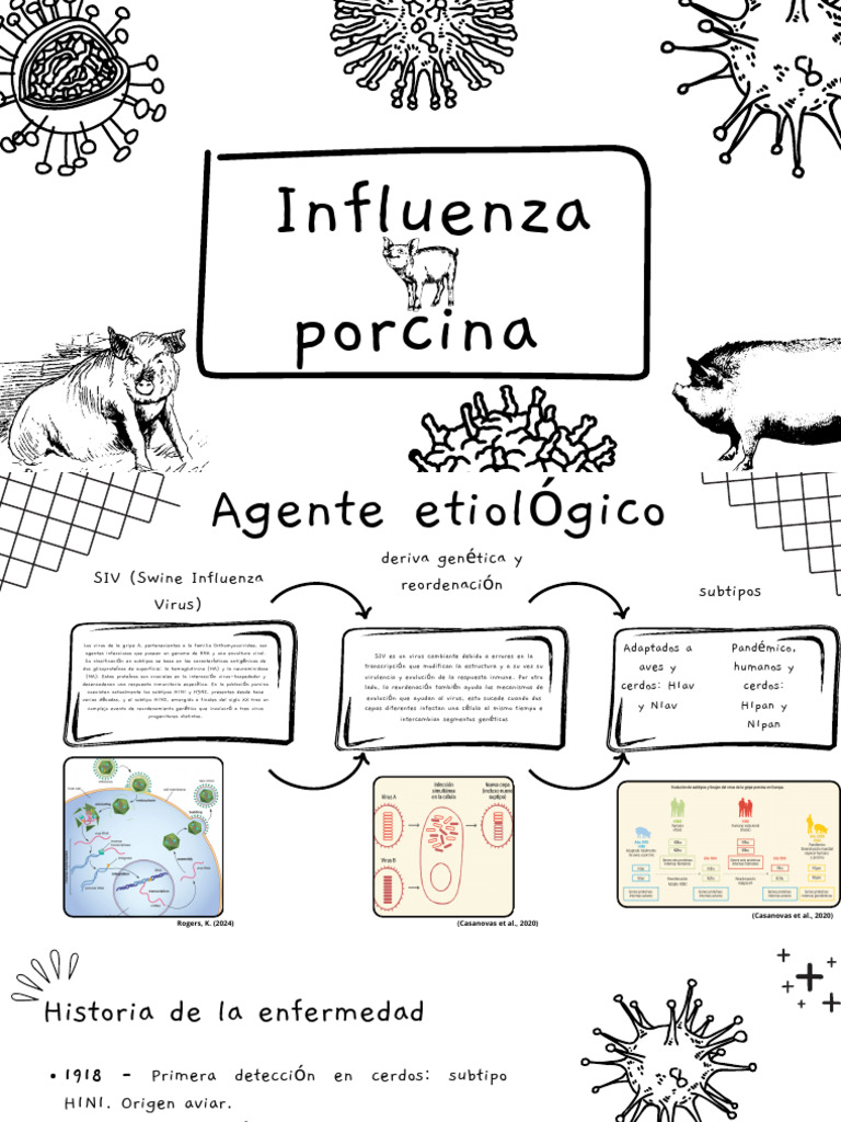 Influenza Porcina: Virus y Diagnóstico | PDF | Virus de la Influenza A ...