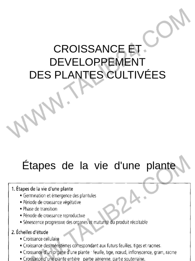 Croissance et développement des plantes | PDF | Auxine | Germination