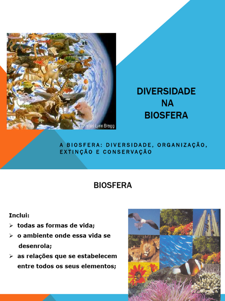 Biosfera | PDF | Ecossistema | Biodiversidade