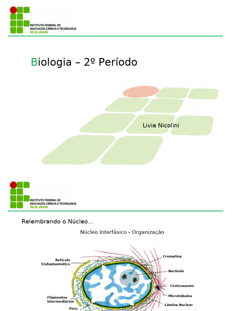 Aula Estrutura DNA | PDF | Cromossomo | Ploidia