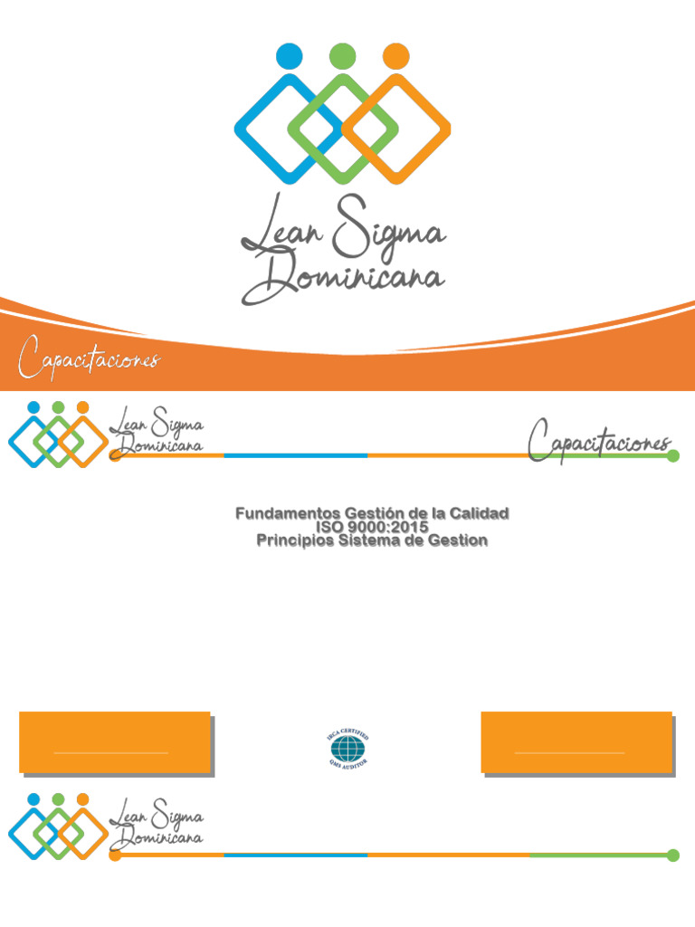 LSD-AF-05a Principios de La Norma ISO 9000 - 2015 Rev 01 - 2023 | PDF | Gestión de la calidad ...