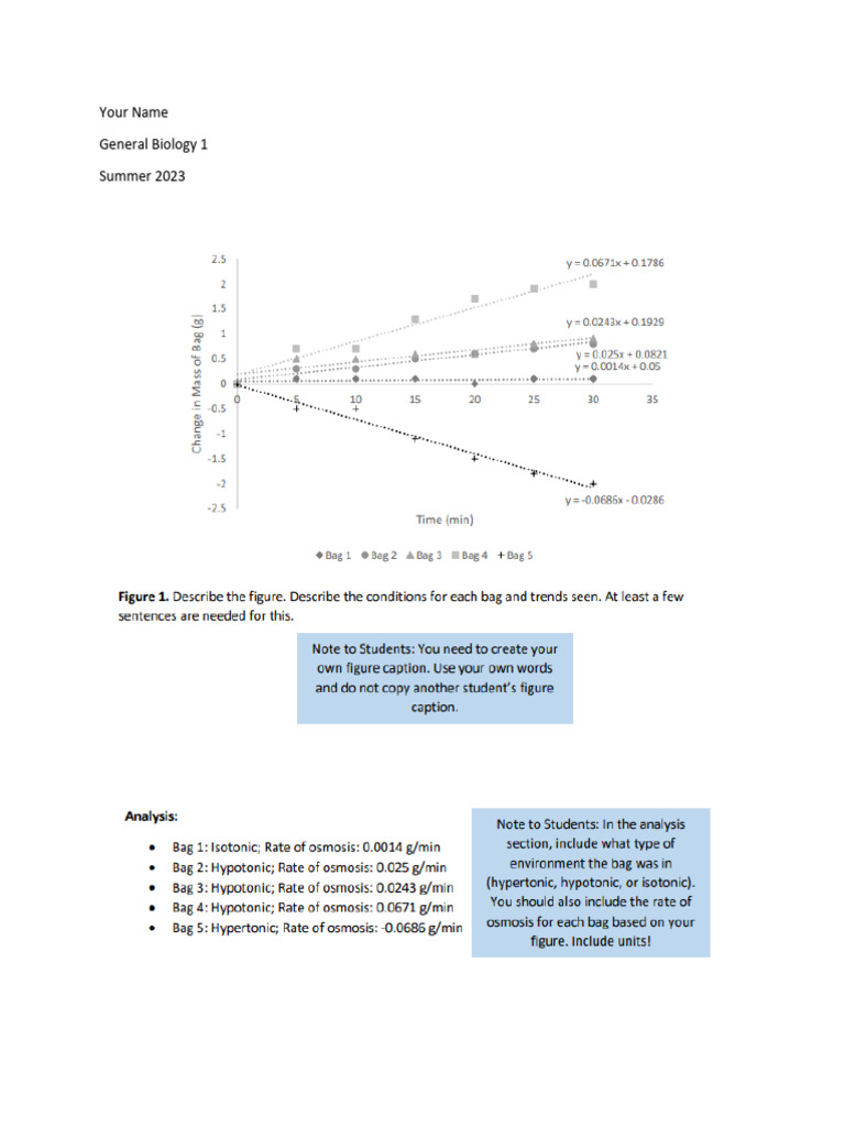 Osmosis Graphing Assignment Example Submission-1-1 | PDF