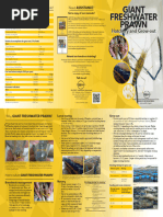 Giant Freshwater Prawn Farming Guide | PDF | Fishing Industry