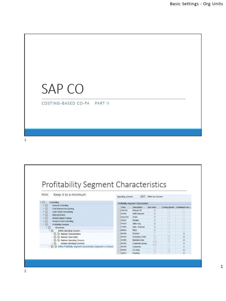 SAP CO-PA Basic Settings Guide | PDF | Computers