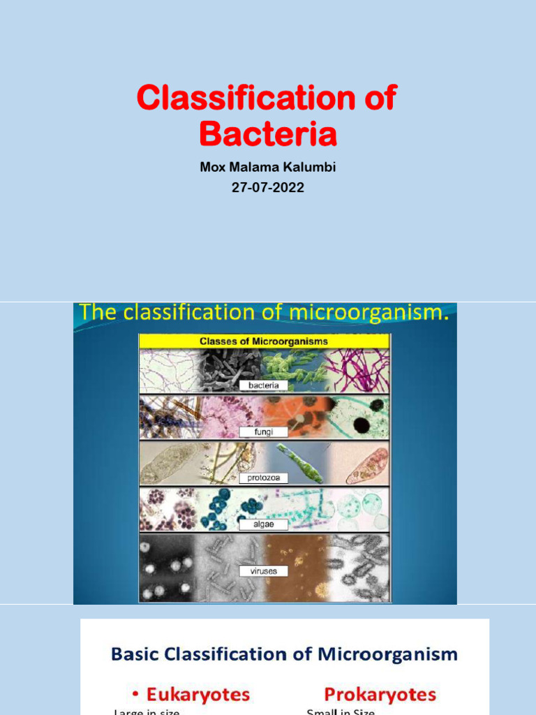 BABS 201 Lecture 1. Classification of Bacteria | PDF | Bacteria | Gram ...