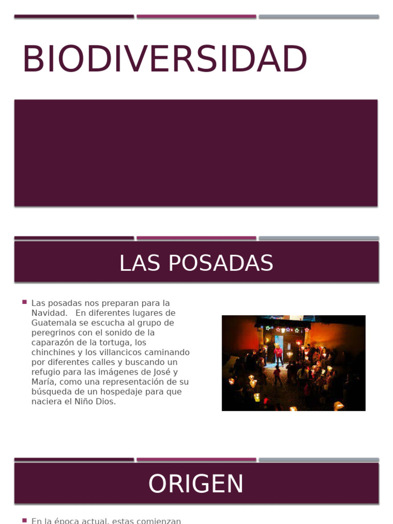 Las Posadas | PDF | Cocina, comidas y vino