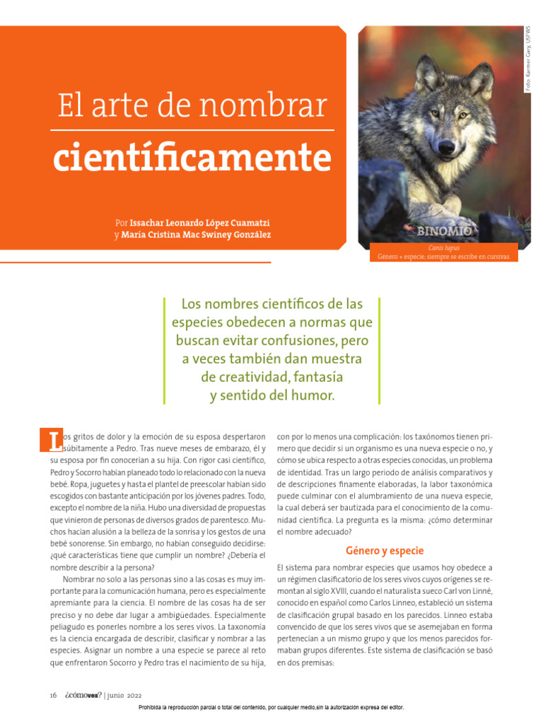 El Arte de Nombrar Científicamente | PDF | Taxonomía (biología ...