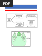 Plant Tissues Notes | PDF | Tissue (Biology) | Plant Stem