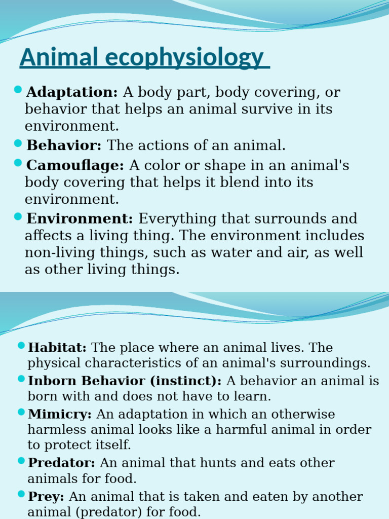 Animal Adaptations for Survival | PDF | Desert | Habitat