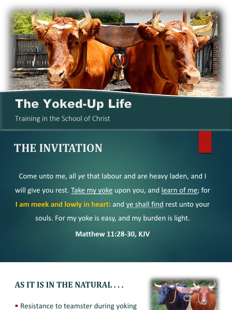 Yoked-Up Life1 | PDF | Jesus | Heaven