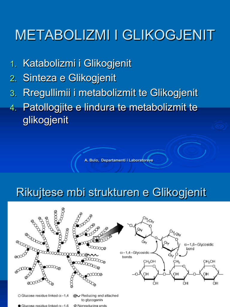 Metabolizmi I Glikogjenit | PDF