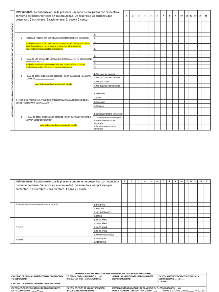 Formato Encuesta Estudio de Mercado TPM | PDF