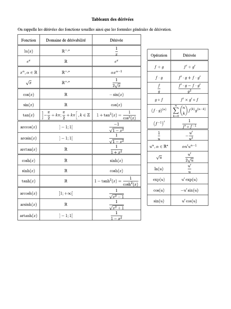 Tableau Des Derivee | PDF