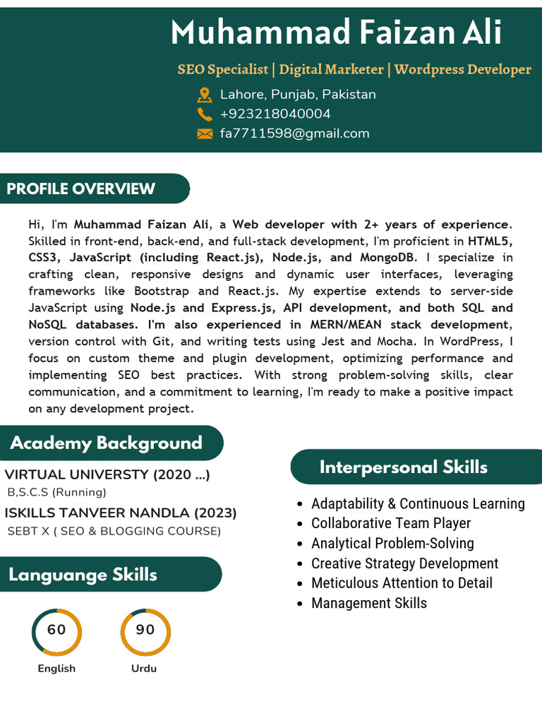Muhammad Faizan Ali, New Cv | PDF | Word Press | Search Engine Optimization