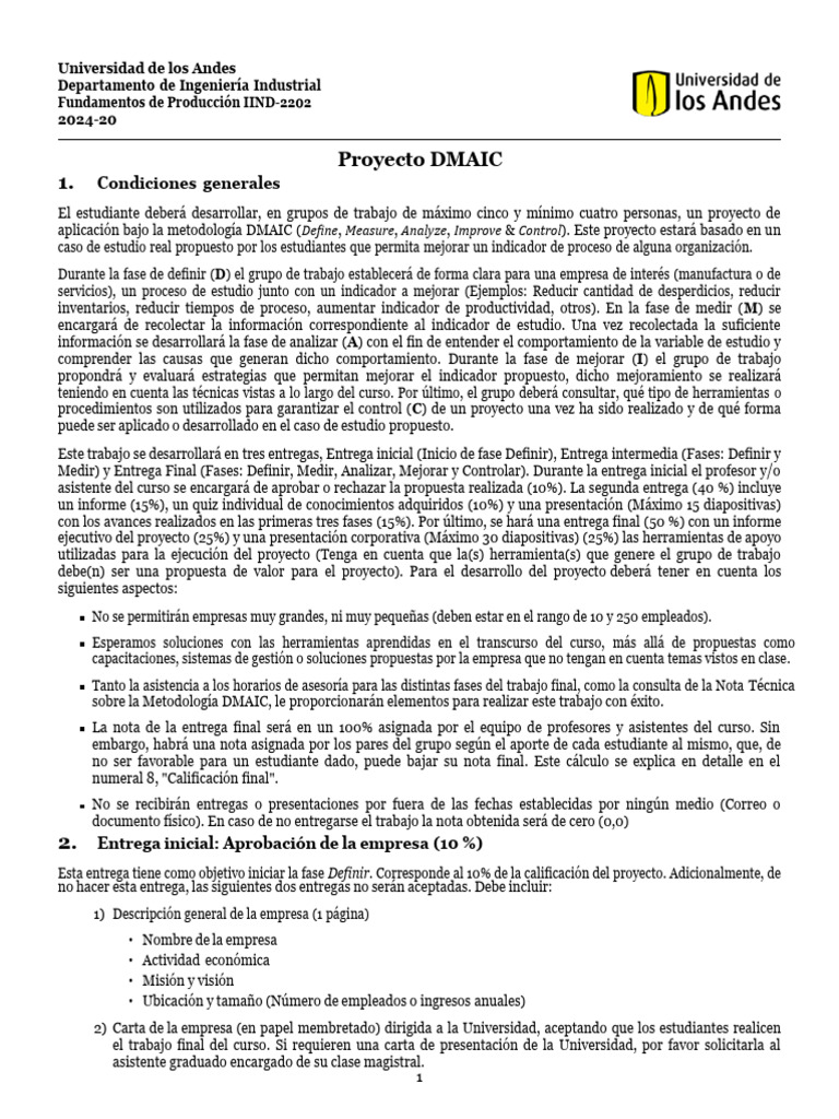 Proyecto DMAIC 2024-20 | PDF | Business | Grupo de trabajo