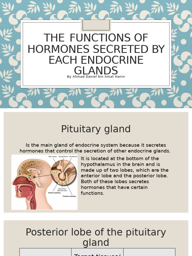 Functions of Hormones | PDF | Luteinizing Hormone | Endocrine System