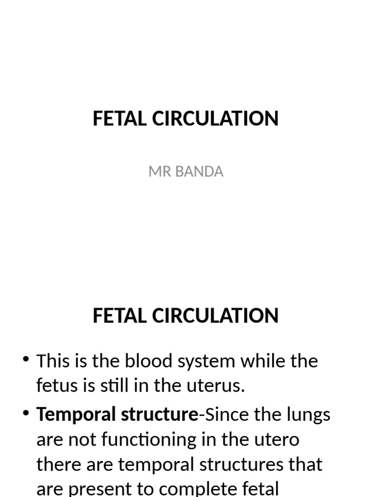 Fetal Circulation | PDF | Fetus | Vein