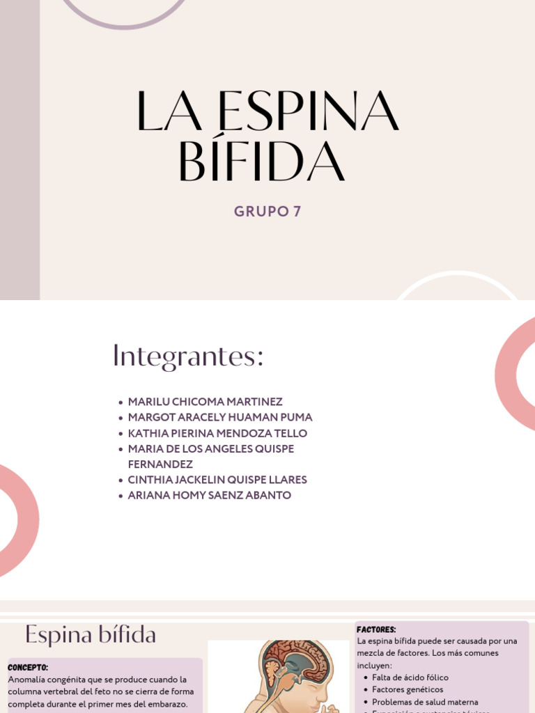 Espina Bífida | PDF | Medicina CLINICA | Enfermedades y trastornos humanos