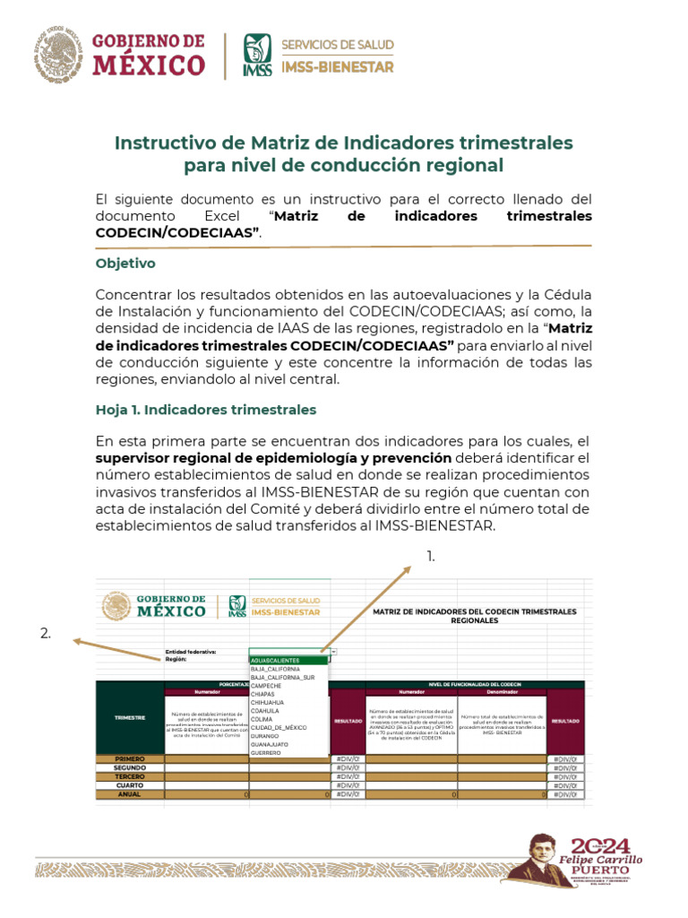 Instructivo Matriz de Indicadores 2024 | PDF