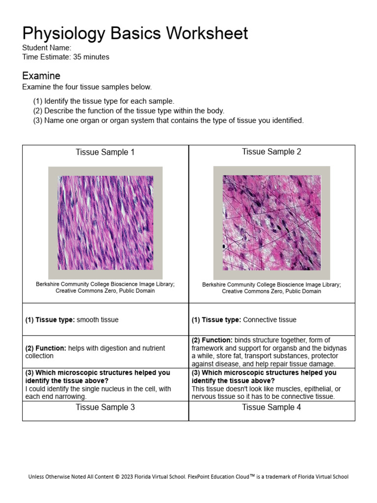 Physiology - Basics - Worksheet 2 | PDF | Tissue (Biology) | Medical Specialties