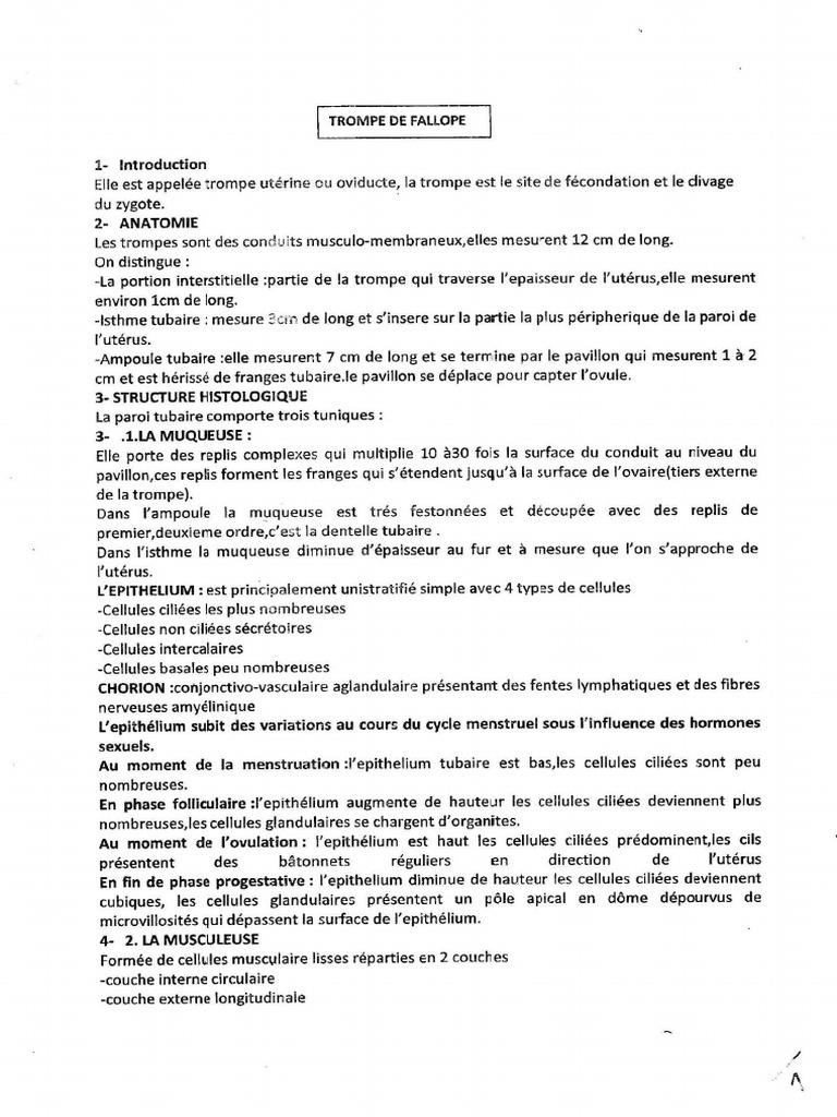 Histo-Trompe Fallope | PDF