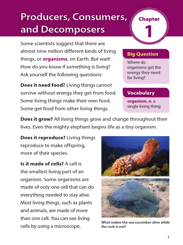 CKSci G5U2 Ecosystems SR (ch1) | PDF | Foods | Plants