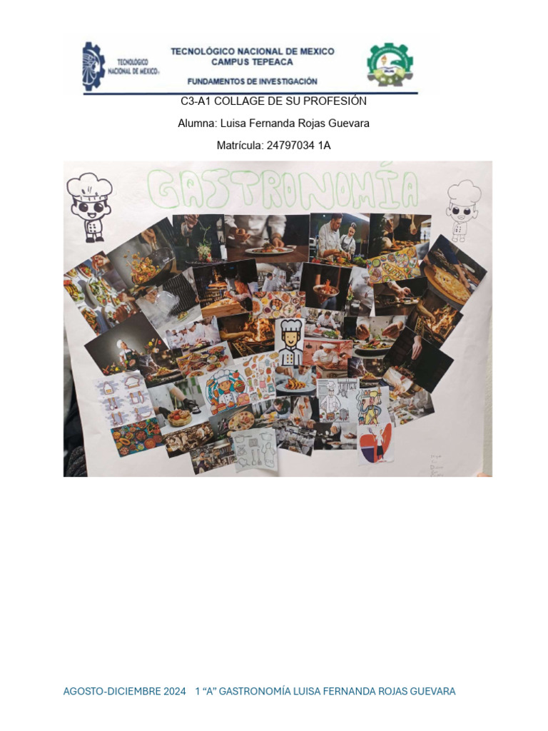 C3-A1 Collage Profesión-Fer Rojas | PDF