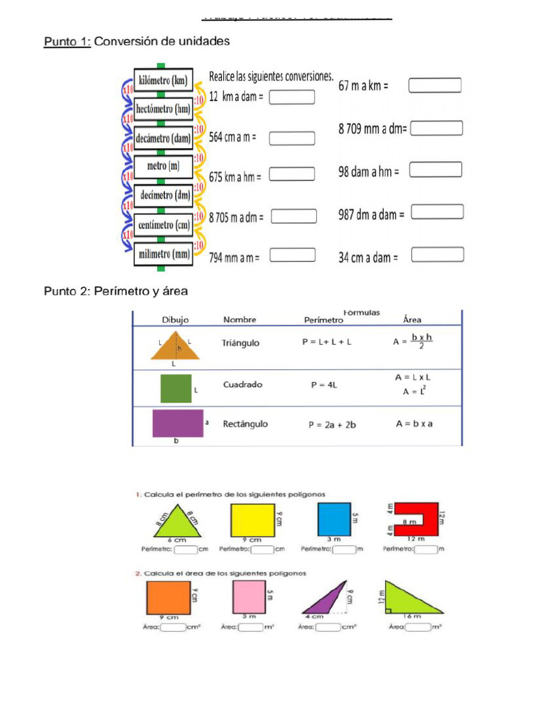 Medidas, Perímetro y Área | PDF