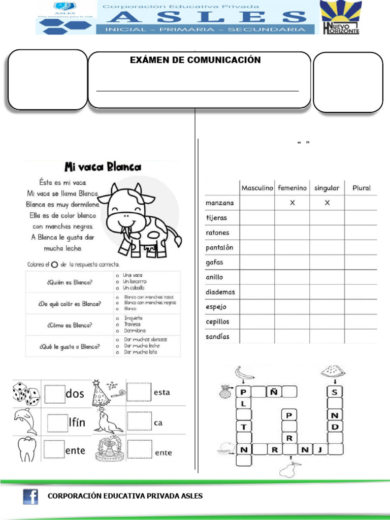 EXAMEN DE COMUNICACION | PDF