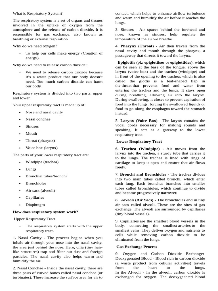Respiratory System Readings | PDF | Respiratory Tract | Central Nervous ...