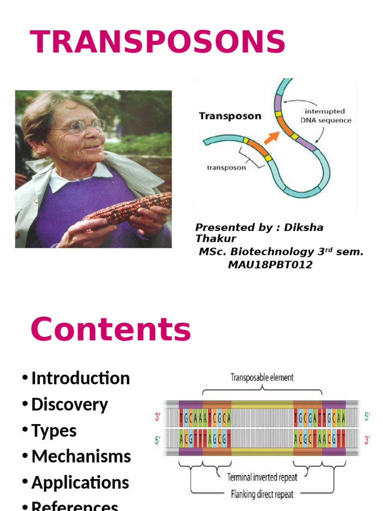 TRANSPOSONS (2) | PDF | Transposable Element | Genome