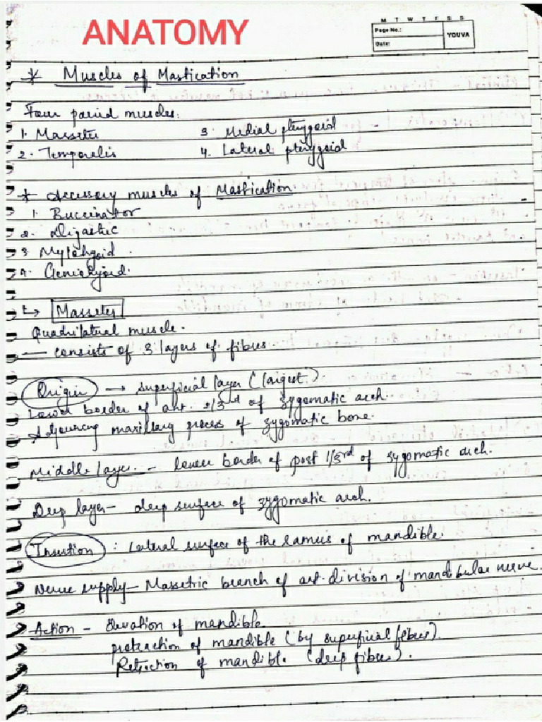 General Anatomy | PDF