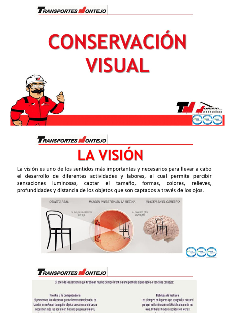 ExportDocument Ashx | PDF