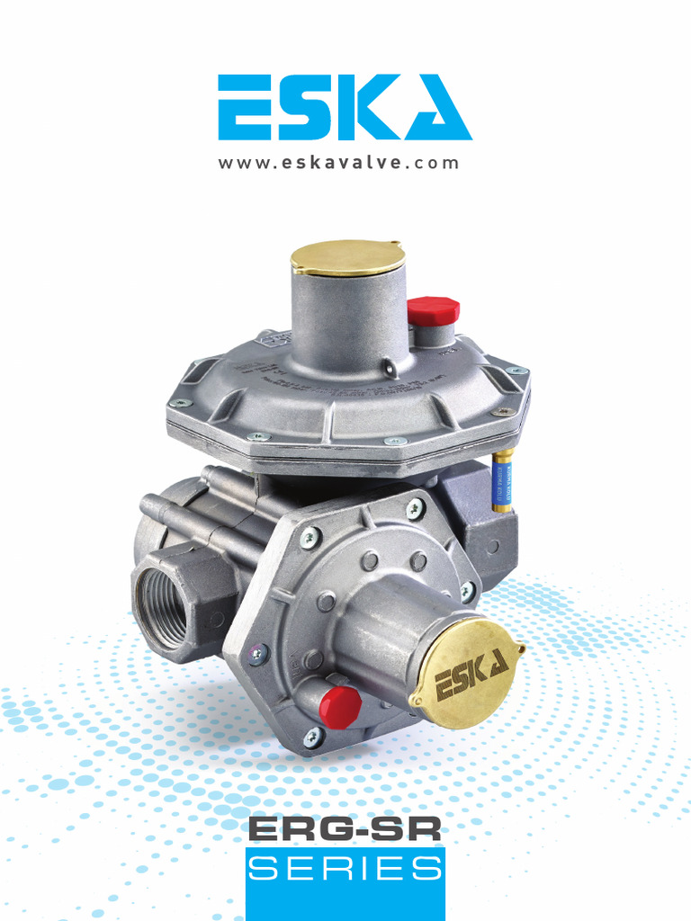 Eska Erg-Sr Catalogue 19 | PDF | Valve | Gases