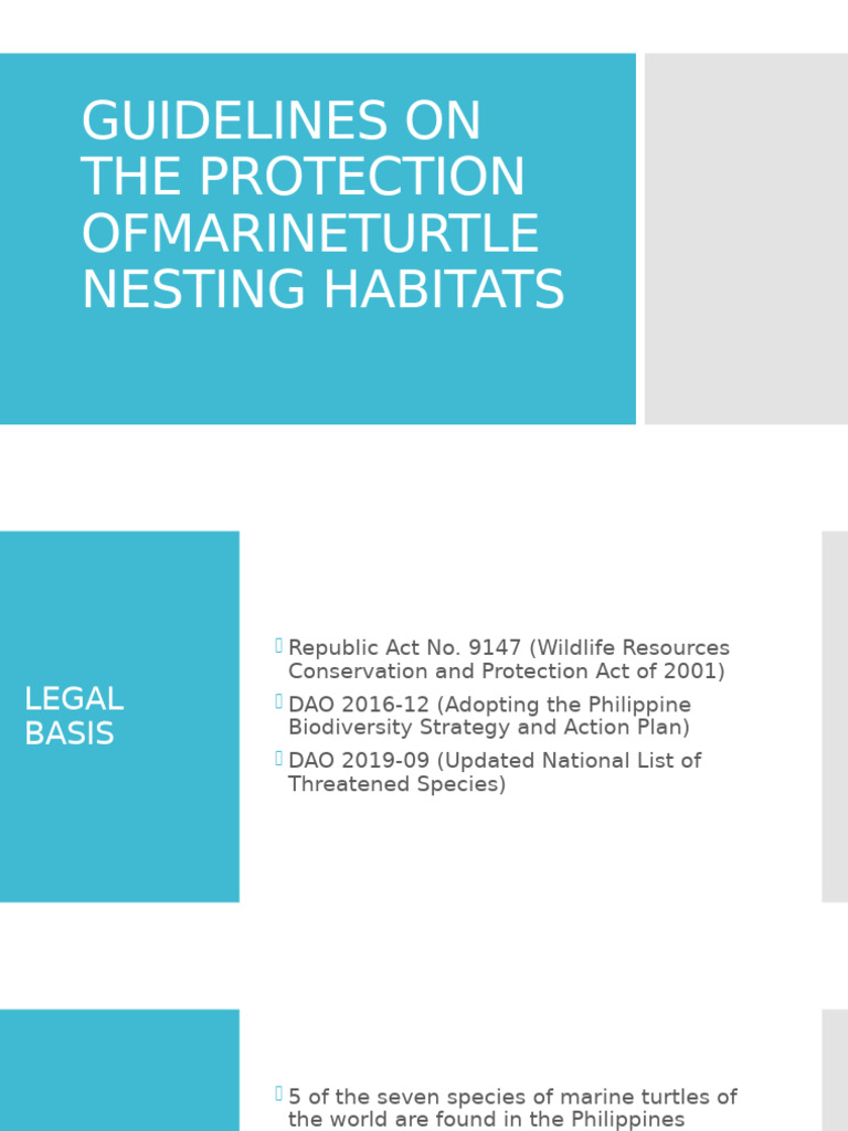 Guidelines On The Protection Ofmarineturtle Nesting Habitats | PDF ...