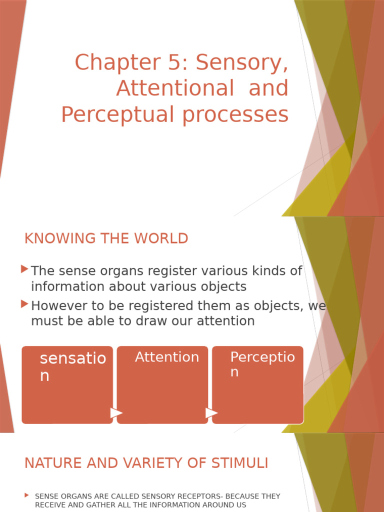Chapter 5 Ppt | PDF | Senses | Attention
