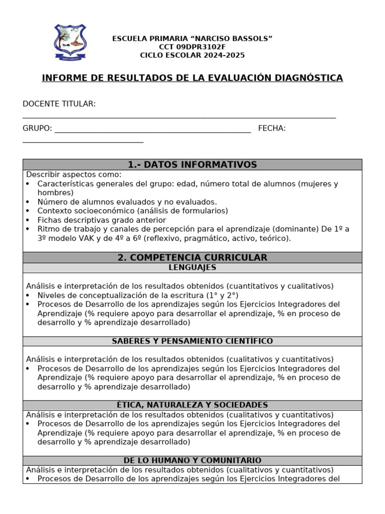 FORMATO DIAGNÓSTICO 2024-2025 | PDF | Maestros | Aprendizaje