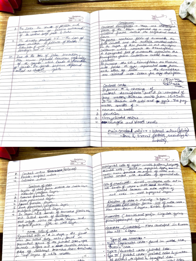 CNS (Joginder Maam) | PDF