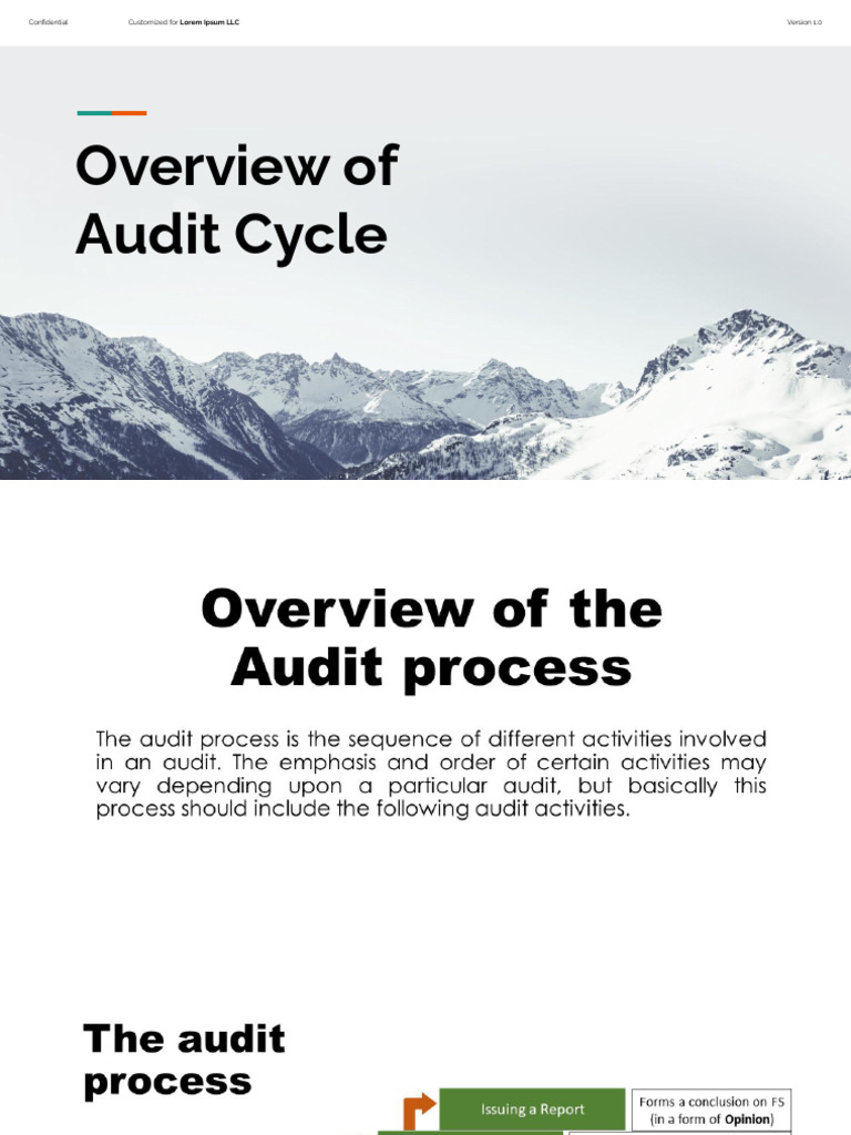 Overview of Audit Process | PDF | Internal Control | Auditor's Report