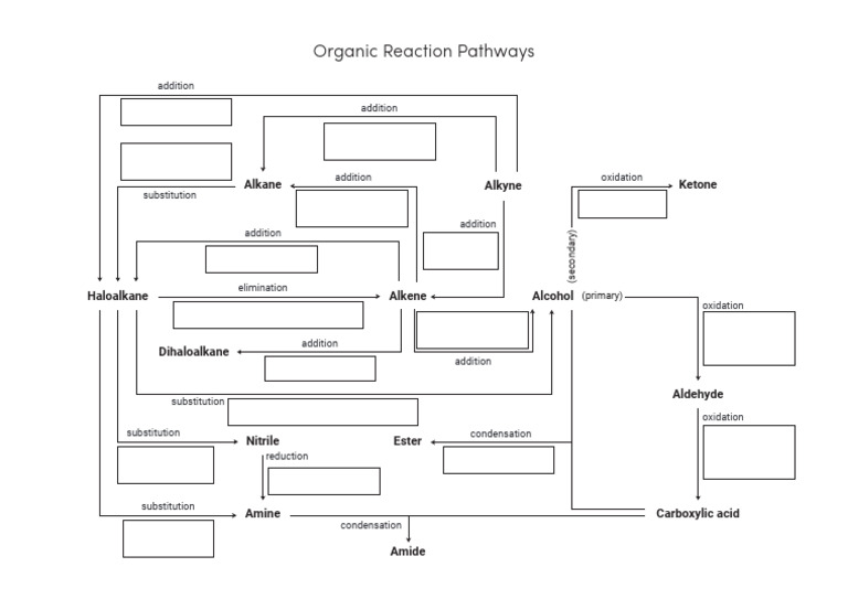 Reaction Pathways Worksheet (QCE) | PDF