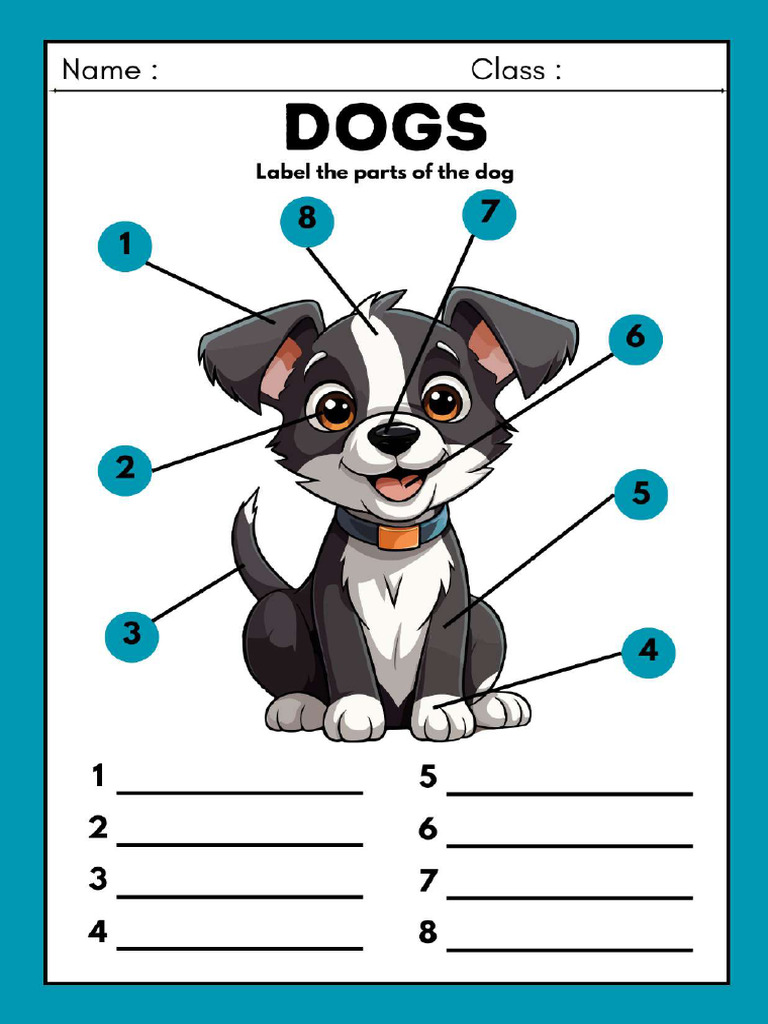 Animals Body Parts | PDF