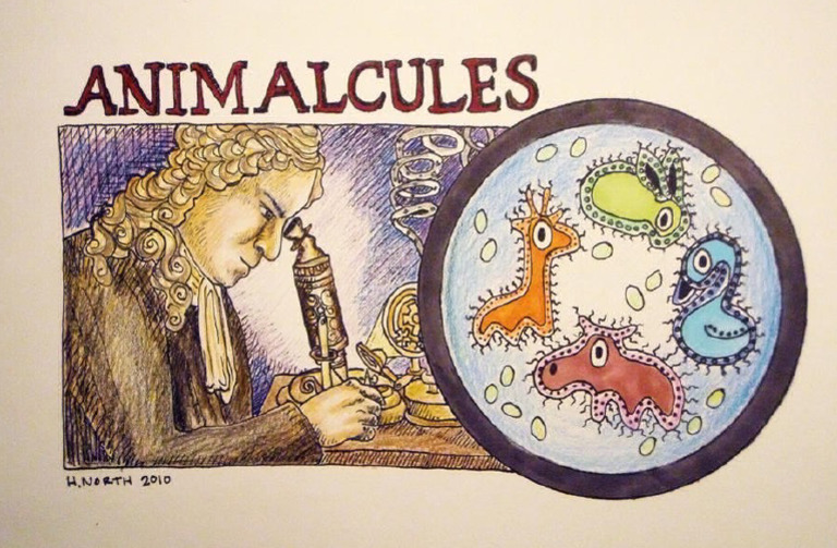 Animalcules | PDF