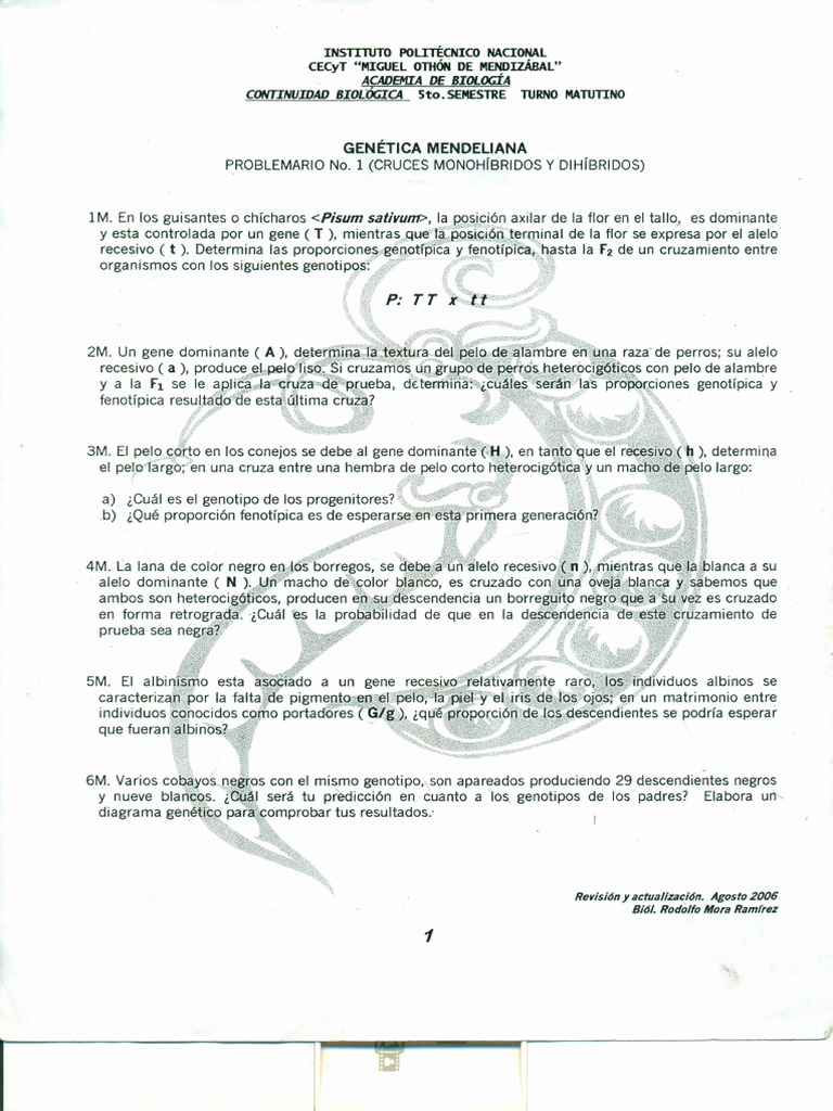 Problemas de Genética Mendeliana | PDF | Dominancia (Genética) | Genotipo