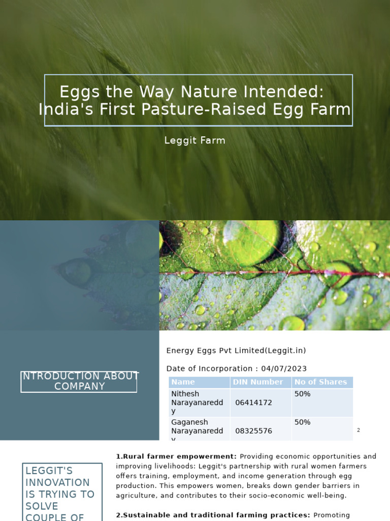 Eggs The Way Nature Intended | PDF | Agriculture | Pricing