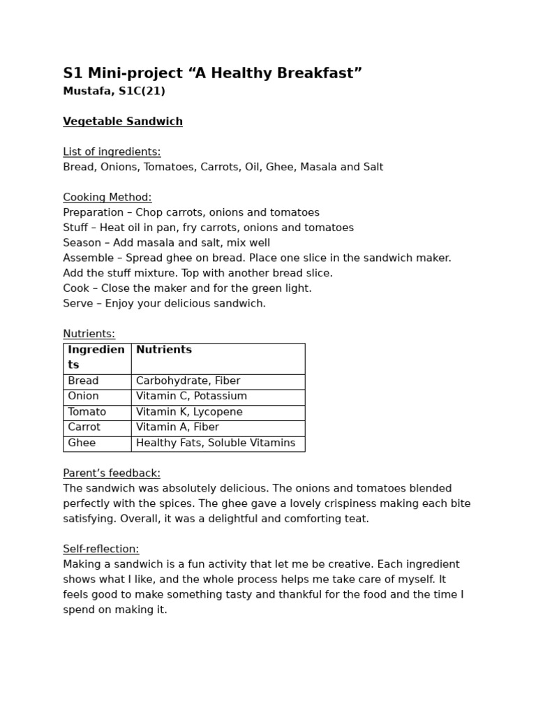 S1 Mini Project | PDF