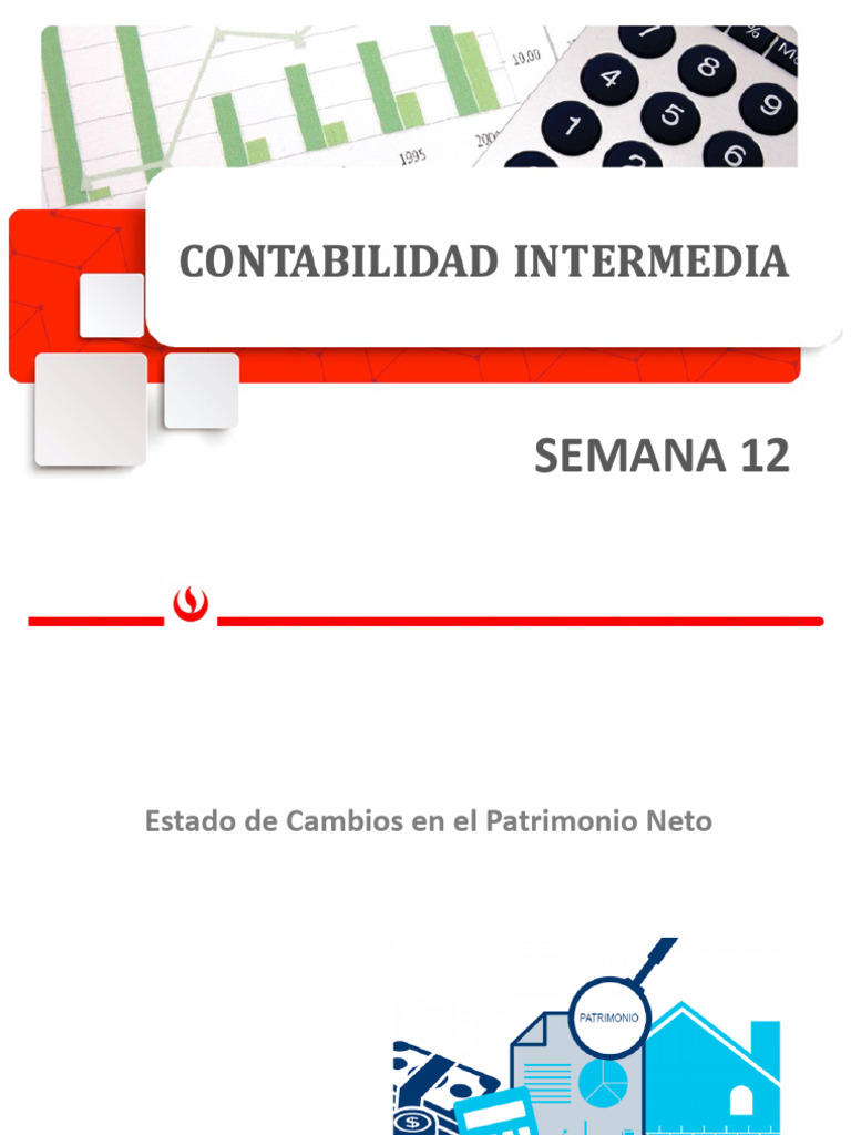 Mtv 12 Estado De Cambios Patrimonio Neto Pdf Valor Neto Estado